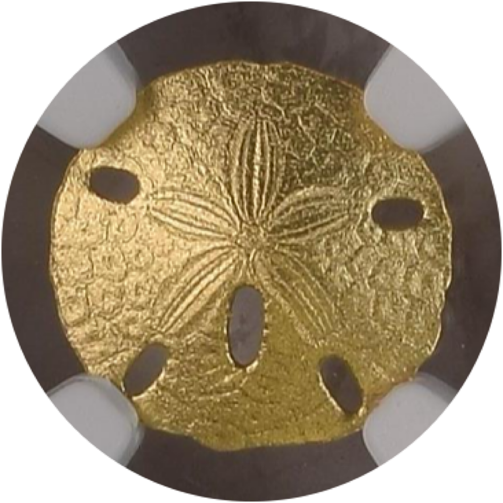 Need a brand new NGC Registry set? ** Don't forget to include your NGC ...