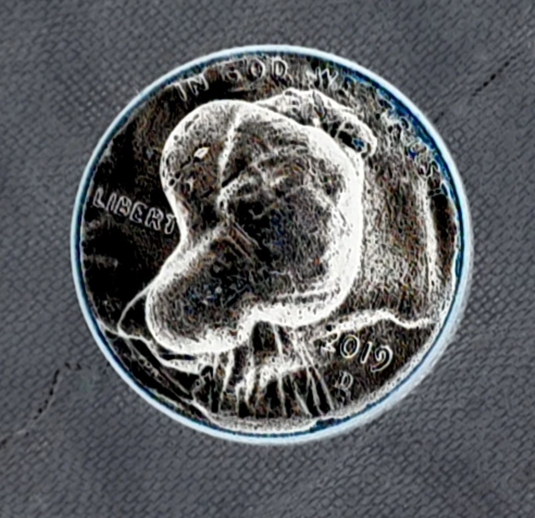 Black Multi-Stamp Penny? - Newbie Coin Collecting Questions - NGC Coin ...