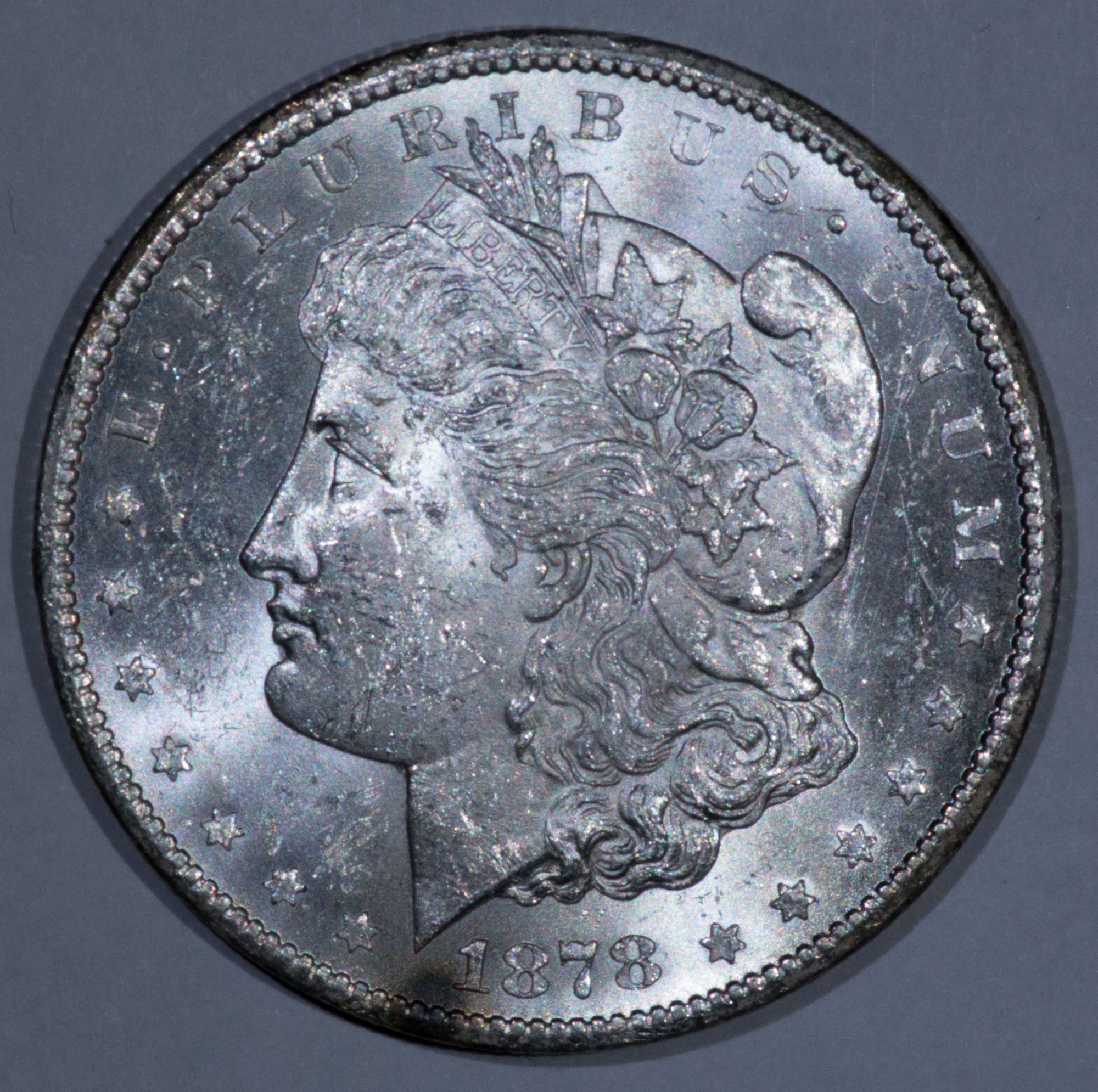 To dip or not to dip: 1878-CC with tone spot (better pictures and ...