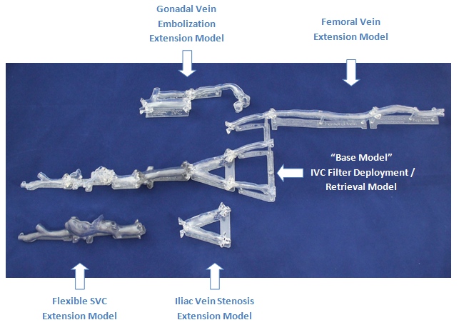 Venous and Arterial Model Overview - TEST SITE