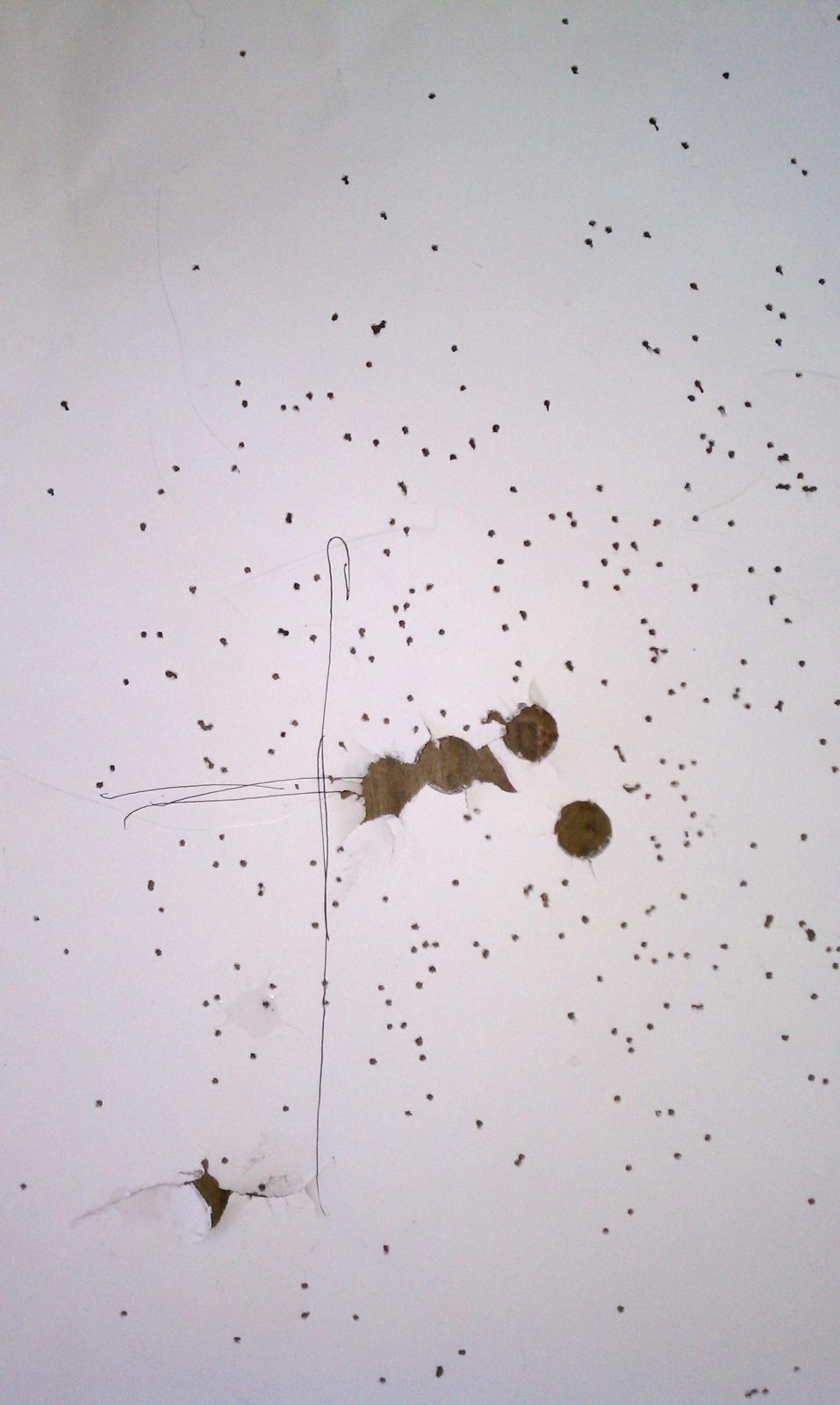 Shotgun POA vs POI - Shotgun - Technical - Brian Enos's Forums... Maku ...