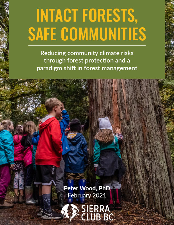 Intact forests, safe communities - Forests - Focus on Victoria