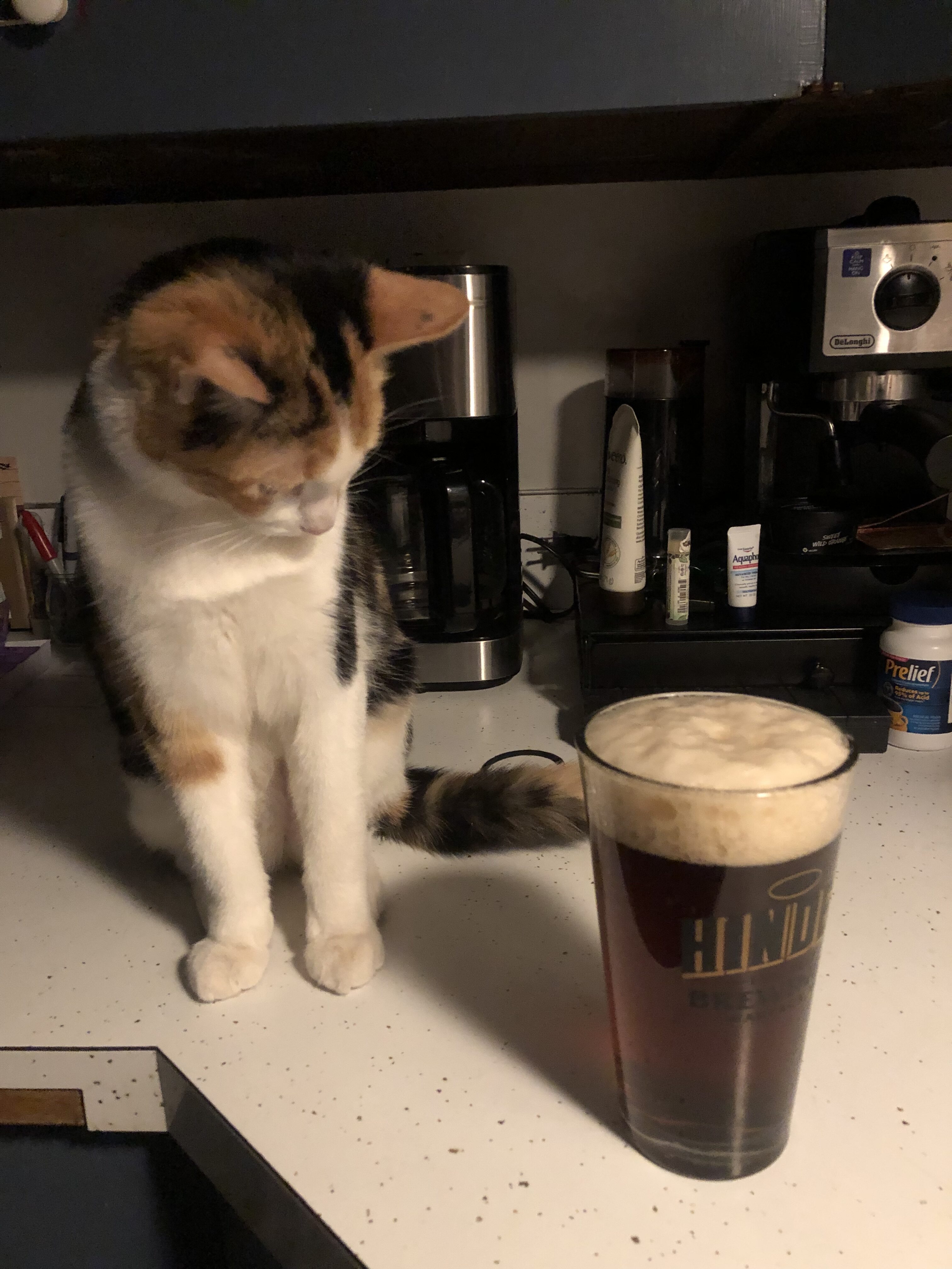 Rosie The Brew-Cat - BrewArt Banter - BrewArtist Community