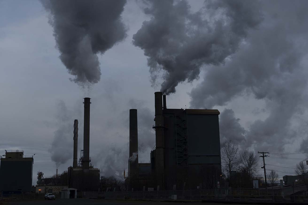 Pulp & paper mills - Discovery Islands Forest Conservation Project