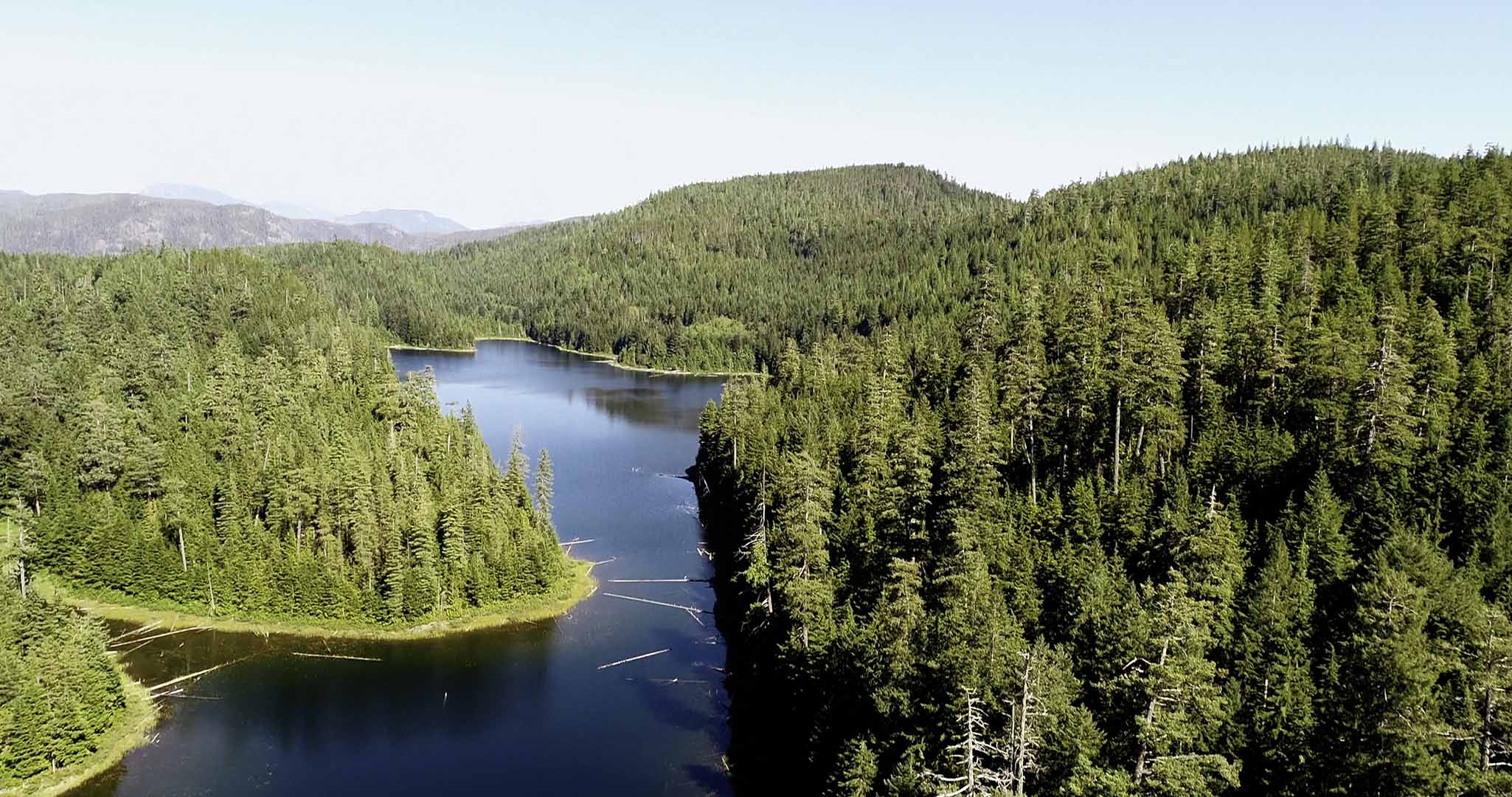 Hummingbird Lake - Lakes and wetlands of the Discovery Islands ...