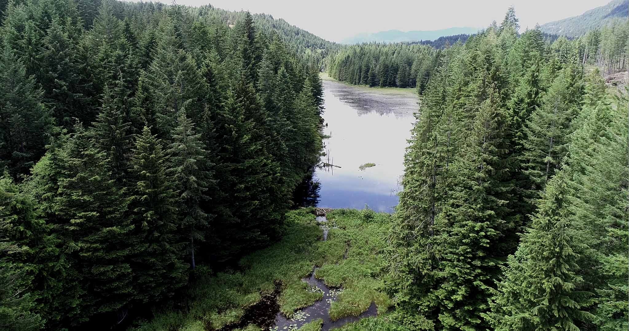 Nighthawk Lake - Lakes and wetlands of the Discovery Islands ...