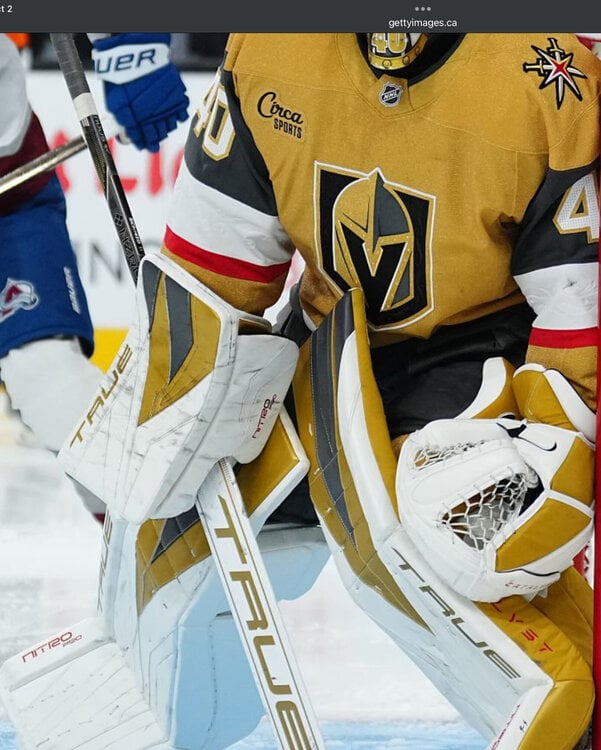 True Catalyst Nitro Pro - True Hockey - THE GOAL[ie] NET[work]