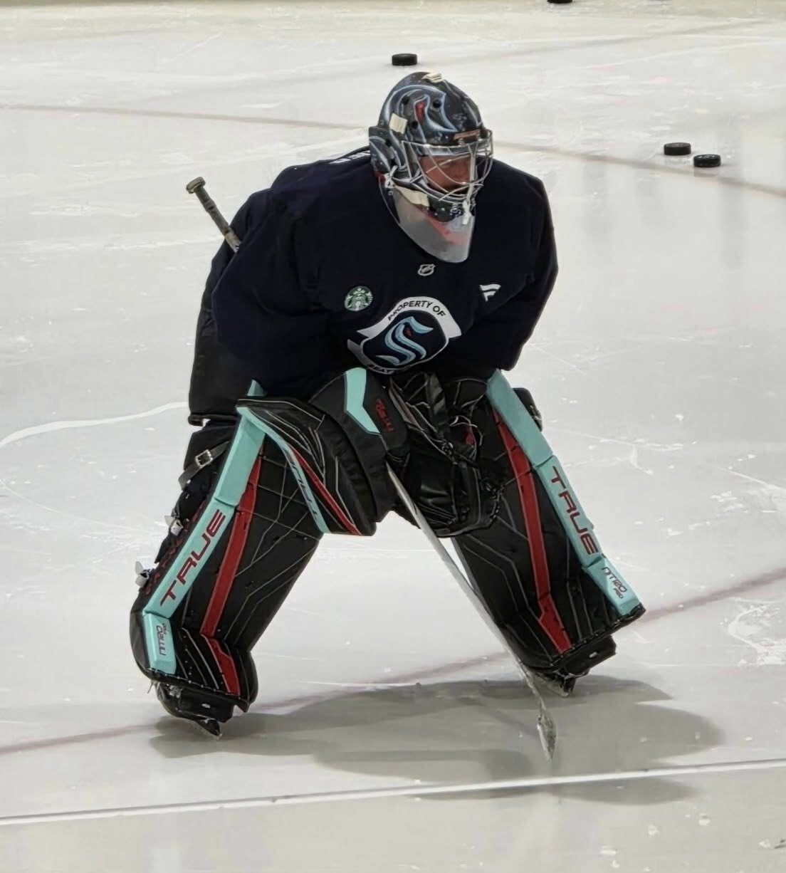 True Catalyst Nitro Pro - True Hockey - THE GOAL[ie] NET[work]