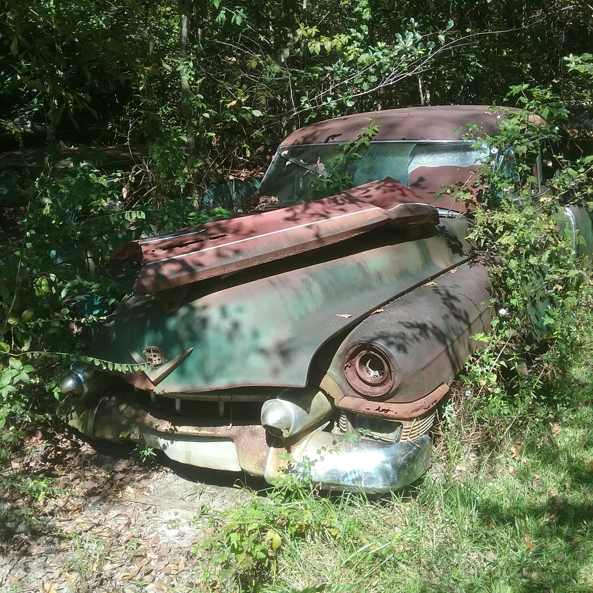 50s Caddy parts cars Slidell LA - CADILLAC & LASALLE - Antique ...
