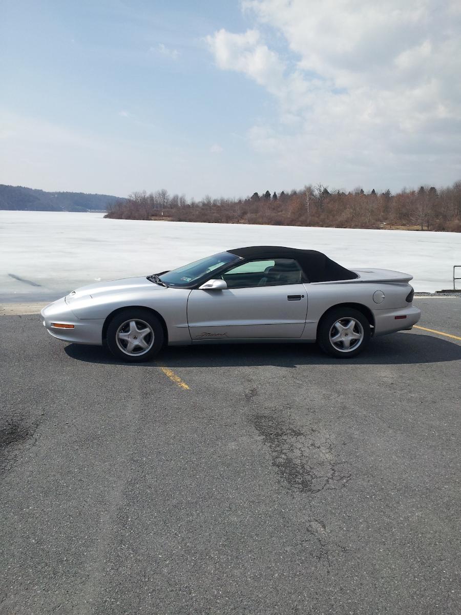 1995 Pontiac Firehawk Convertible Price Reduced to $13K - General ...