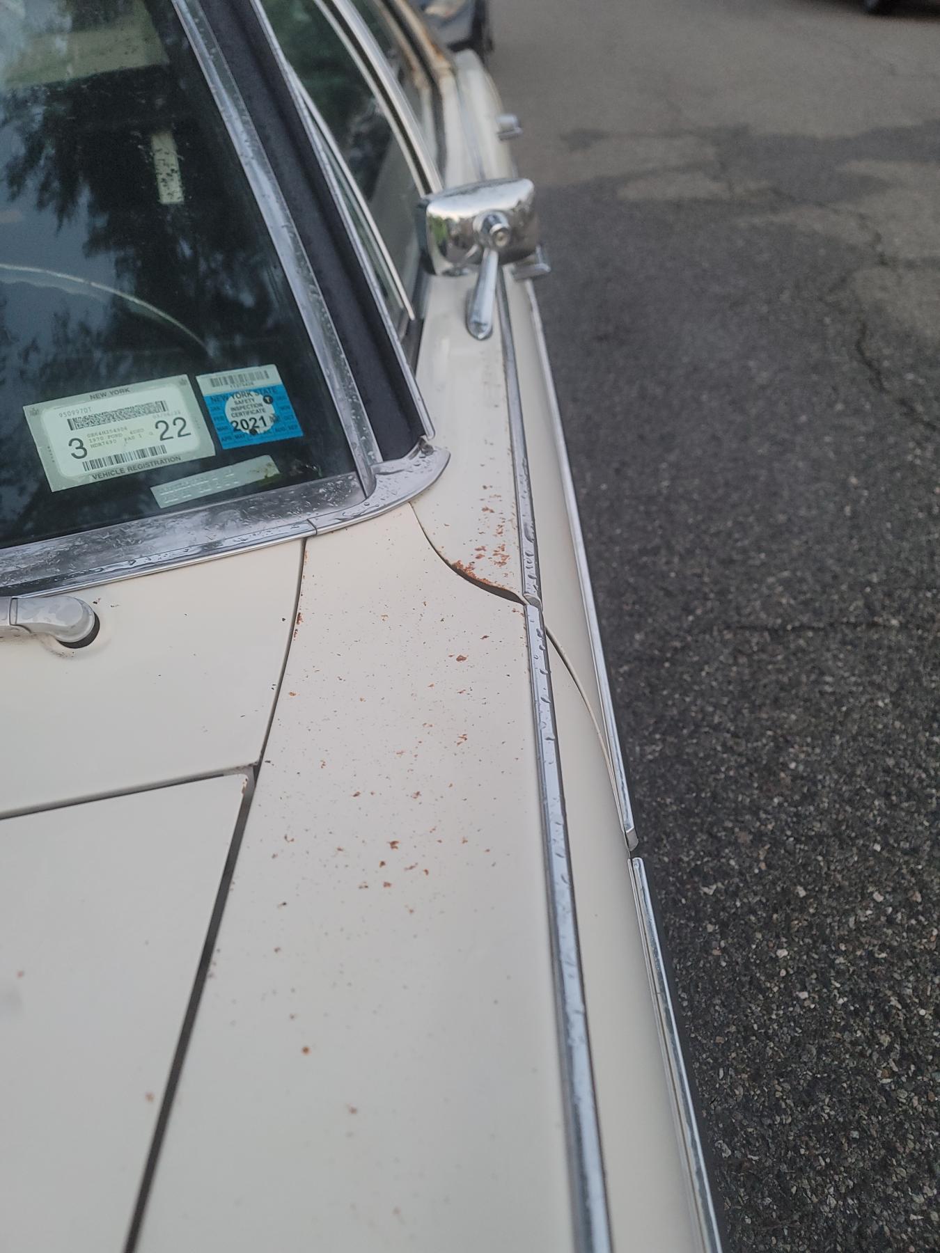 Need help Buffing old paint and removing rust dots - General Discussion ...