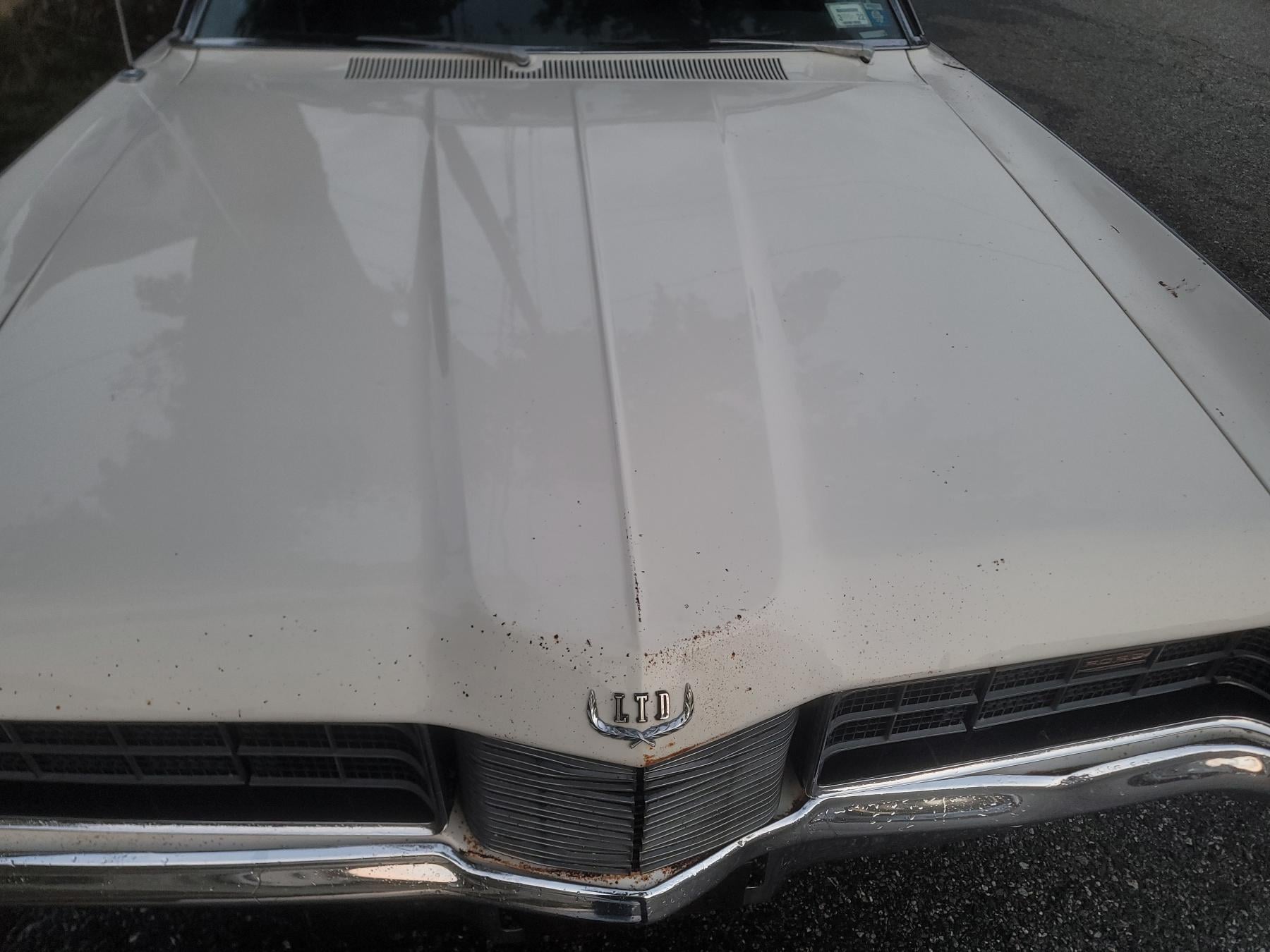Need help Buffing old paint and removing rust dots - General Discussion ...