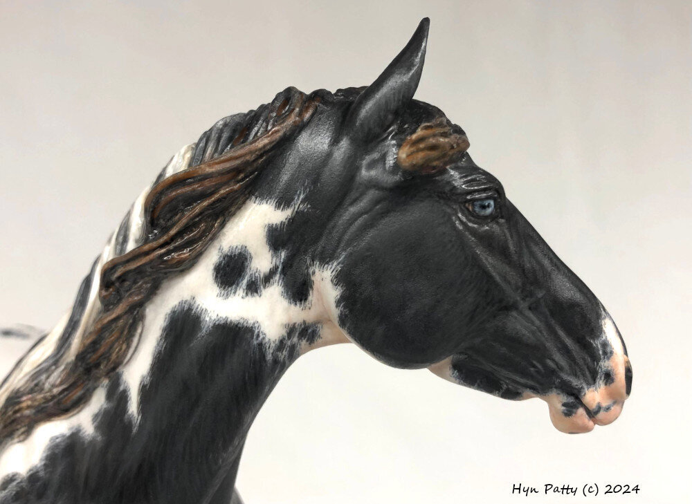 Homozygous Tobiano Horse