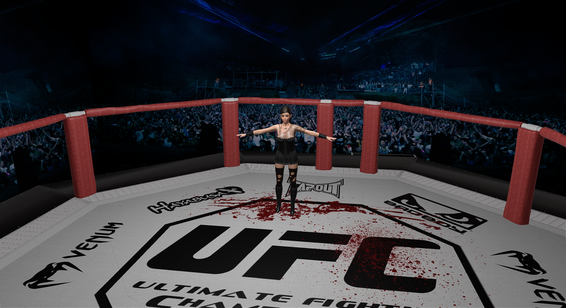Requesting a UFC cage map! - Rooms Discussion - Klub Exile