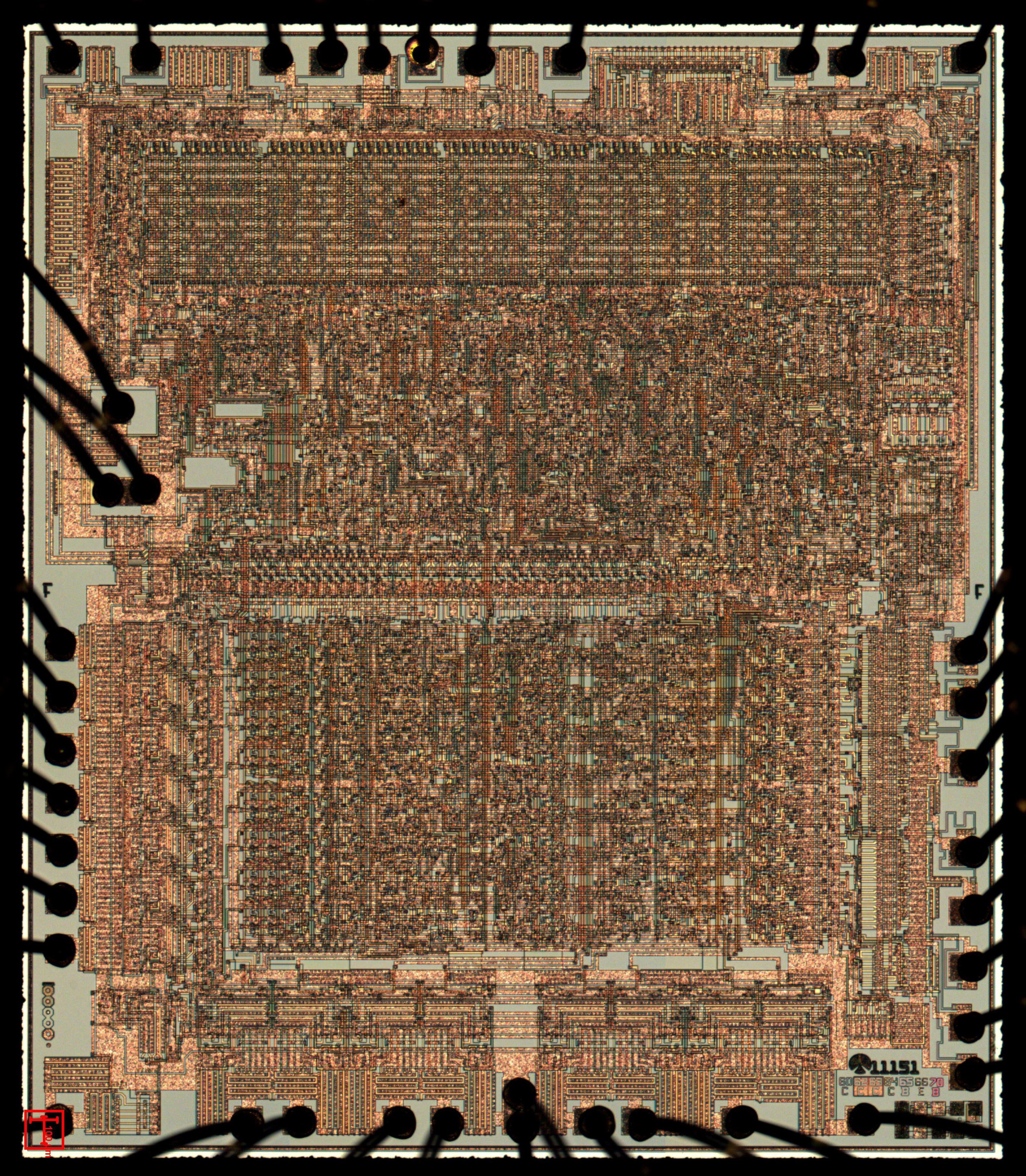 Sally decap (was Sally at OnlyFans) - Atari 8-Bit Computers - AtariAge ...