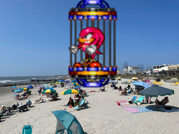 Photoshopping Knuckles in a cage into random locations every day until ...
