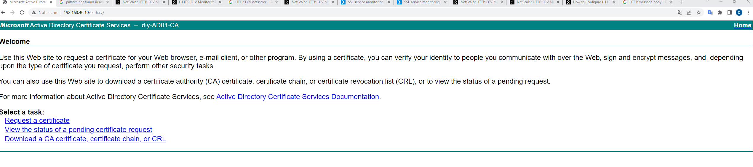 NetScaler Monitor to Authenticate with a User Name and Password ...