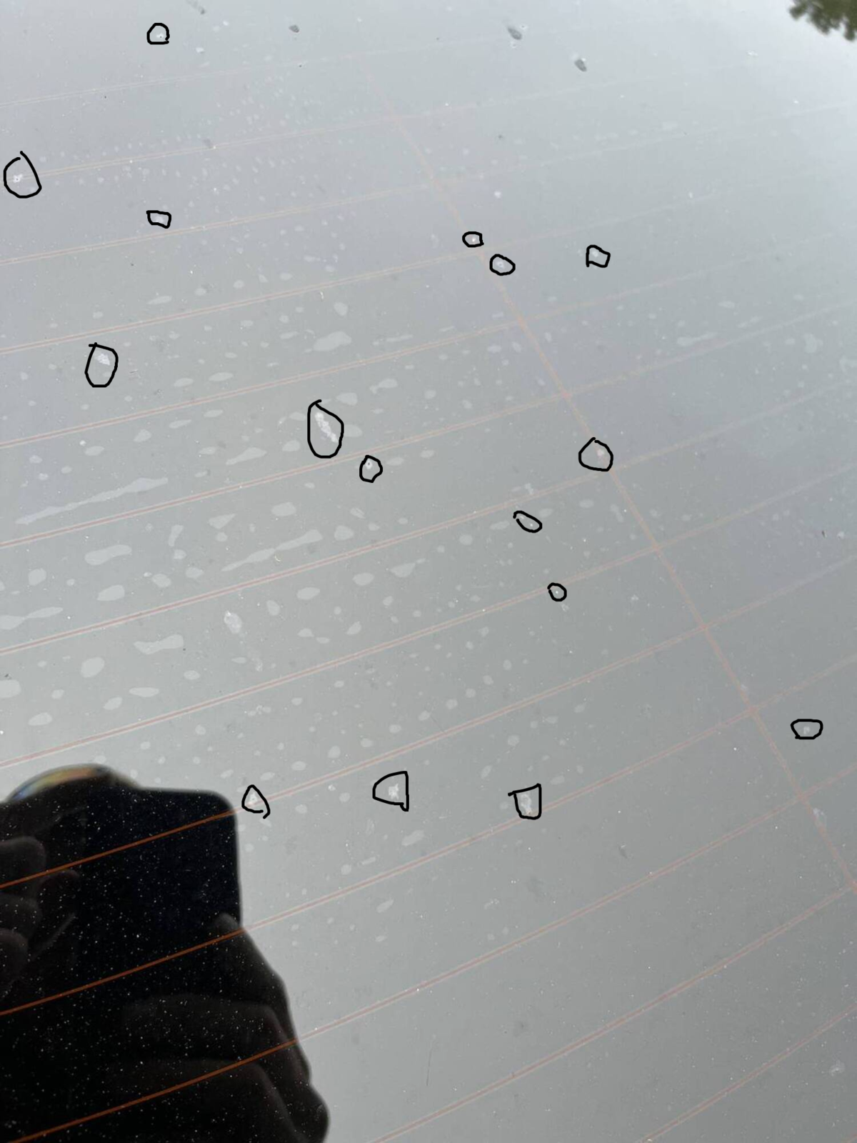 Will these water bubbles go away - Window Tinting - General Discussion ...