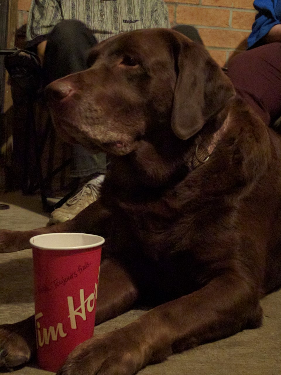 gotta love Tim Hortons - Non-Fishing Related - Niagara Fishing Forum