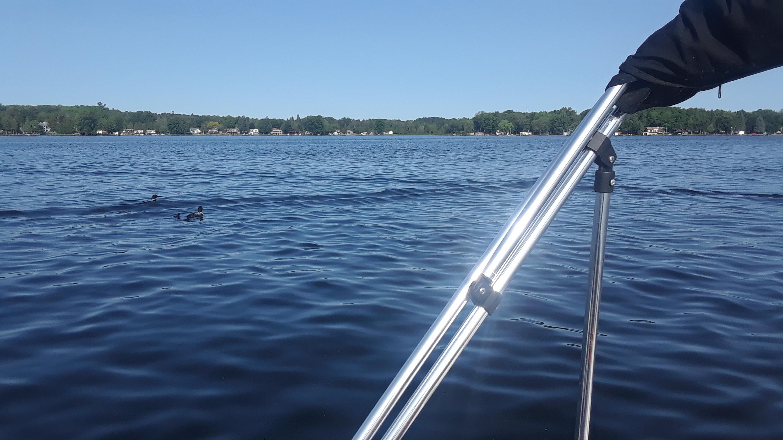 Chemong Lake fishing - Fishing Forum - Niagara Fishing Forum