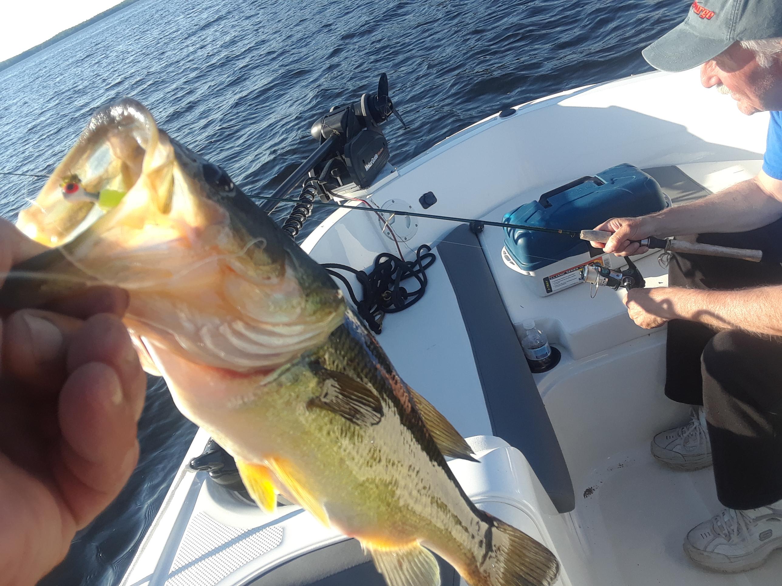 Chemong Lake fishing - Fishing Forum - Niagara Fishing Forum
