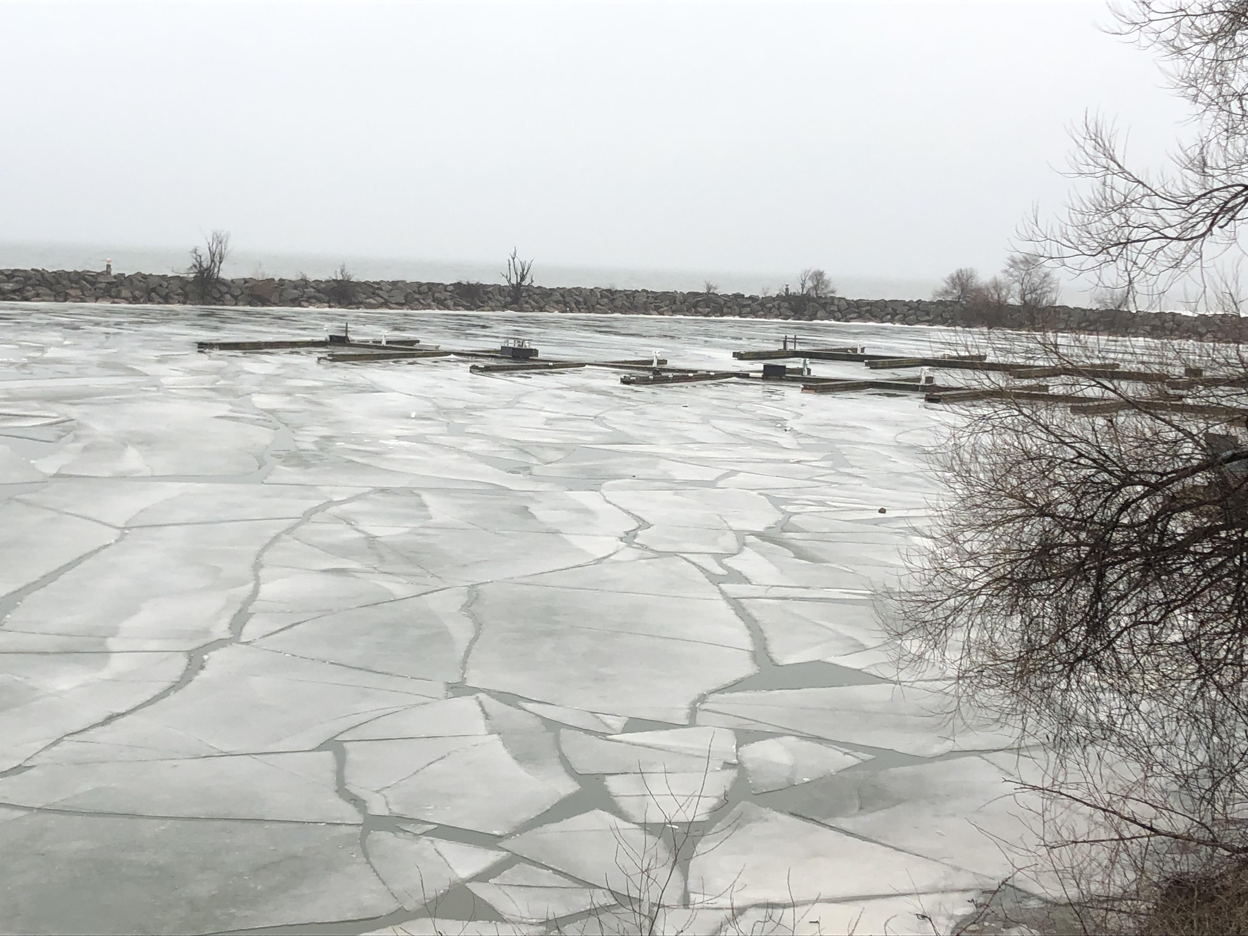 Beacon marina - Fishing Forum - Niagara Fishing Forum