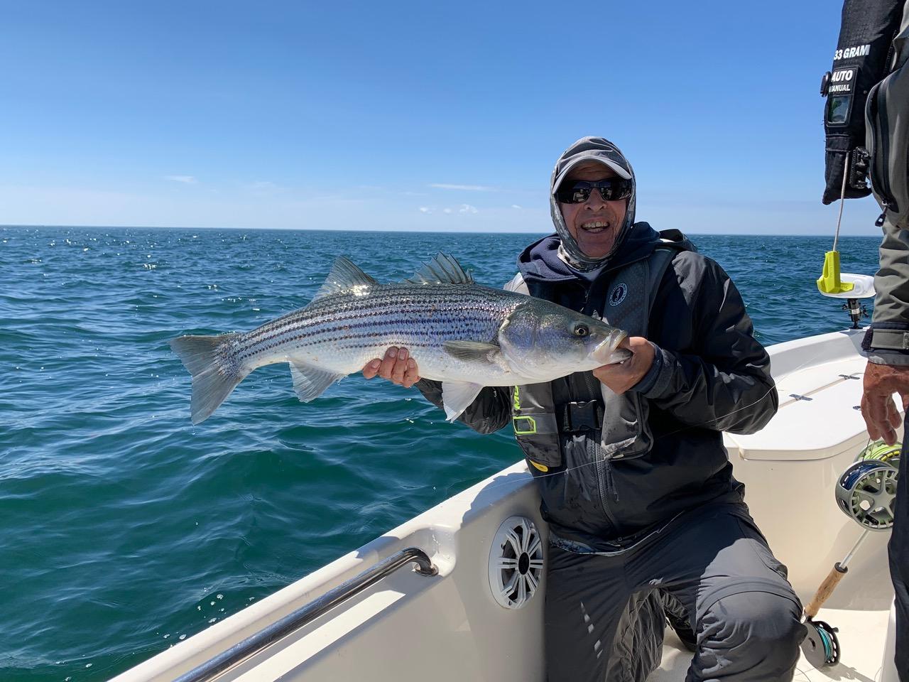 Cape Cod Stripers - Fly Fishing - Niagara Fishing Forum