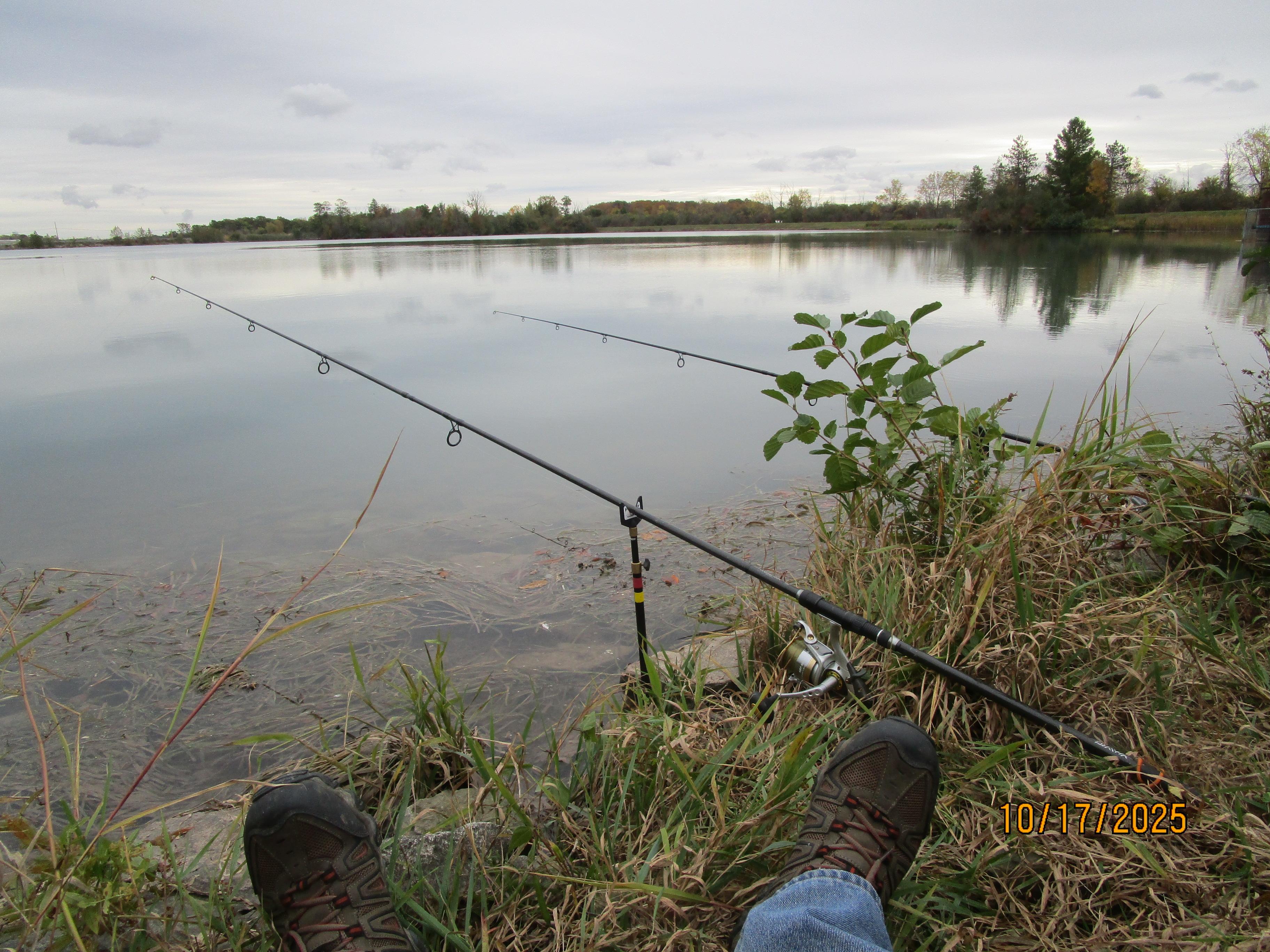 Carping - For the Love of Carp - Niagara Fishing Forum