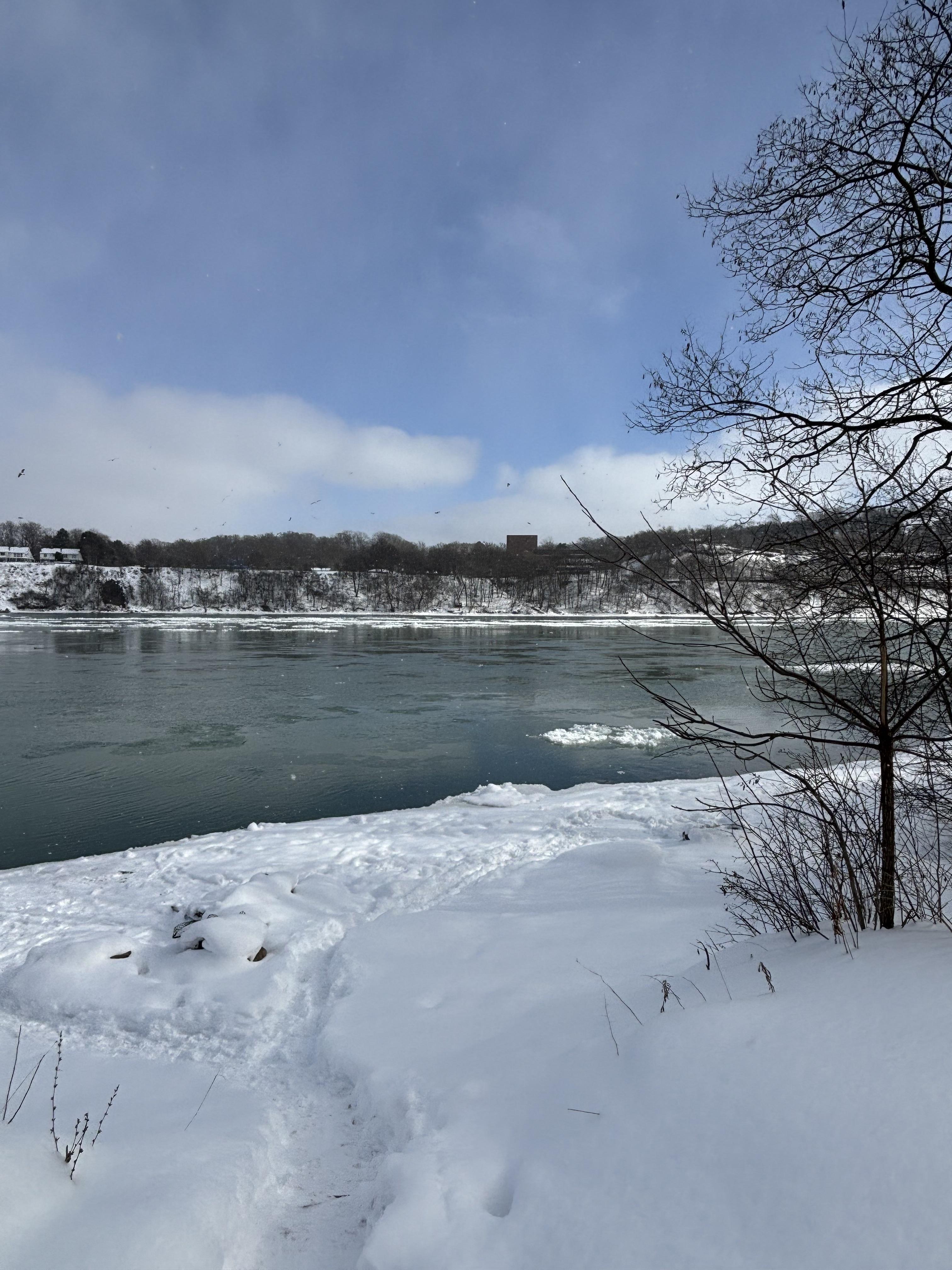 Niagara River - Fishing Forum - Niagara Fishing Forum