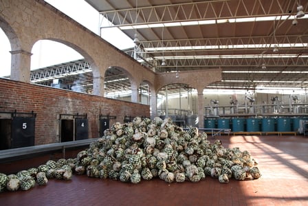 Agave Processing Equipment - Horno, Mill and Water Diffuser (Extraction ...