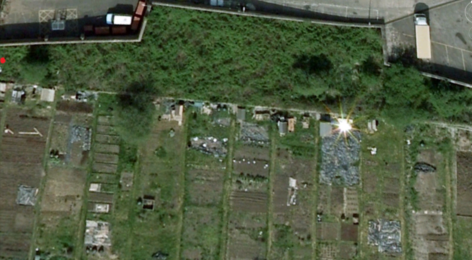Set A Grow Up Near An Allotment ? - Guerrilla Growing - UK420