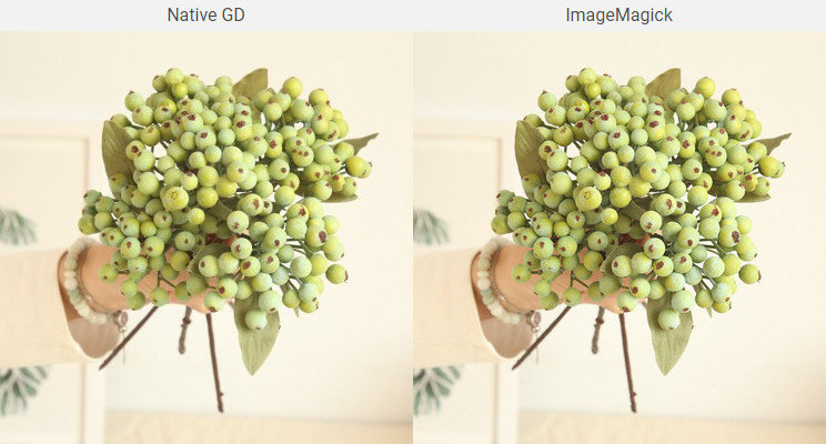 ImageMagick module with AJAX generator to generate high quality images ...