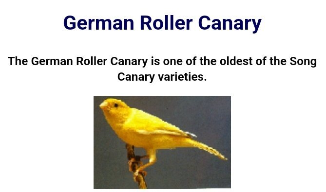 The German Rollers v The German Rohlers Match Thread - Page 3 - The ...