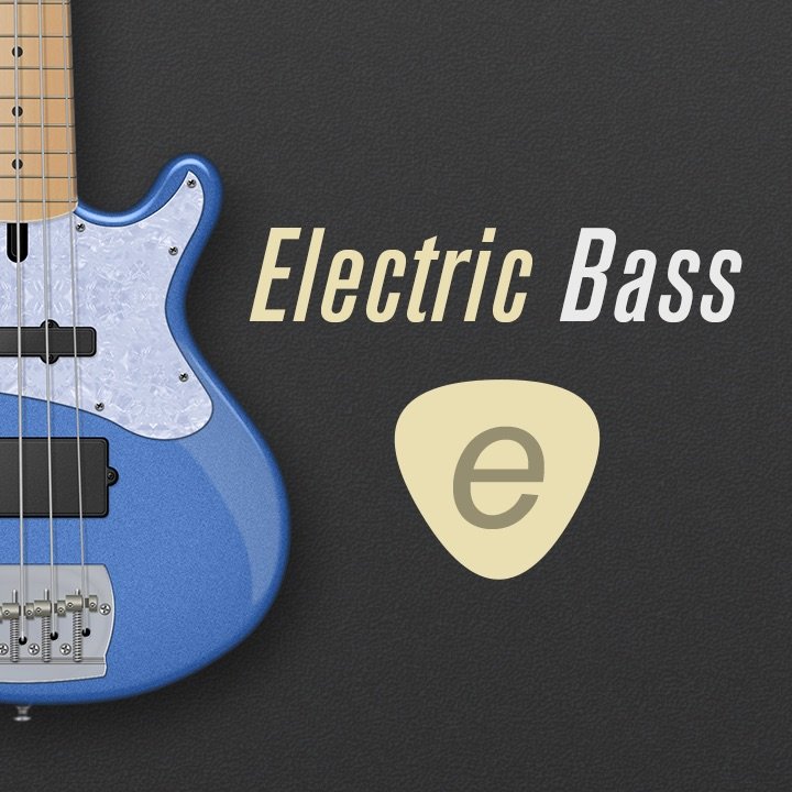 Steinberg Releases New Electric Bass Instrument For HALion - Modules ...