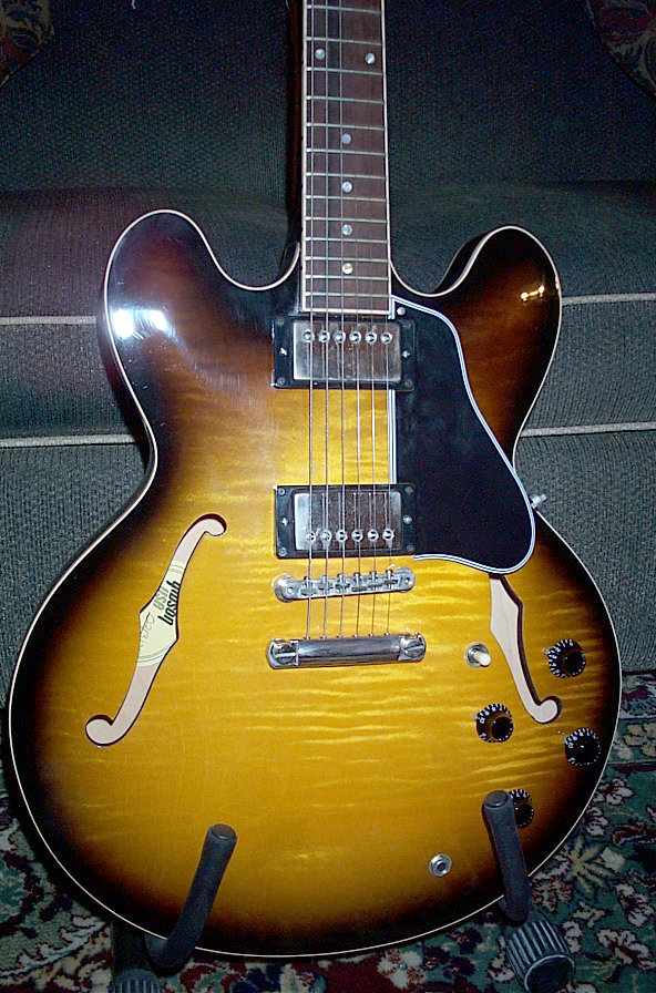 S101 semi hollow 335 copy, anyone else have one - Electric Guitars ...
