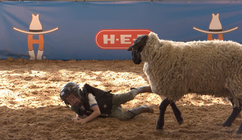 Rodeo photos 2022 - Photographing Houston - HAIF The Houston Area ...