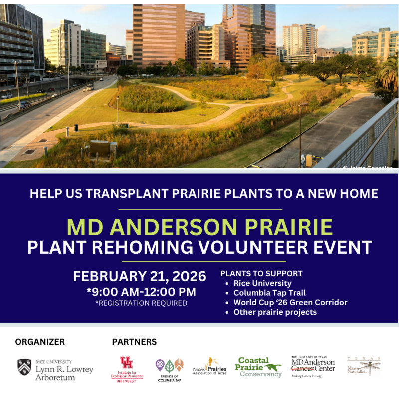 MD Anderson The Prairie Park At 1212 Holcombe Blvd. - Texas Medical ...