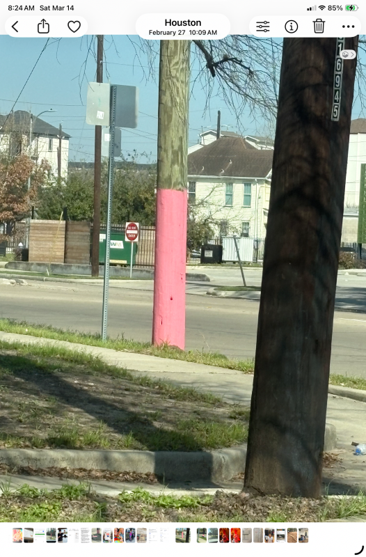 What’s up with pink paint? - Montrose - HAIF The Houston Area ...