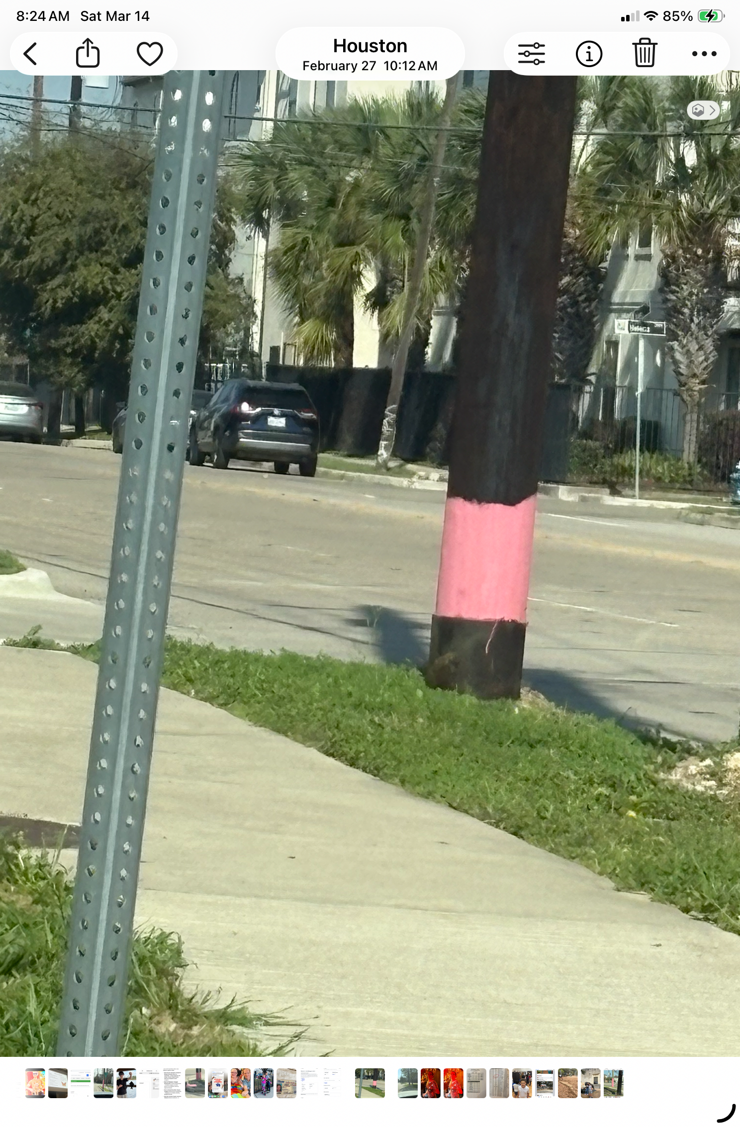 What’s up with pink paint? - Montrose - HAIF The Houston Area ...