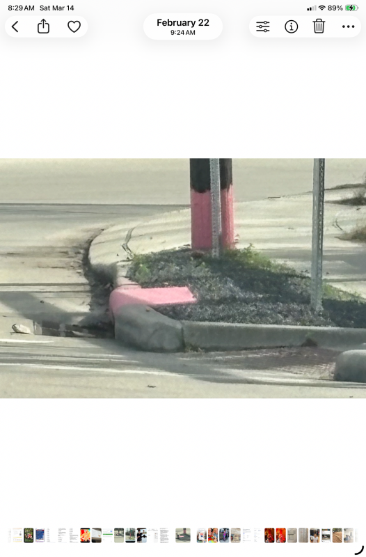 What’s up with pink paint? - Montrose - HAIF The Houston Area ...