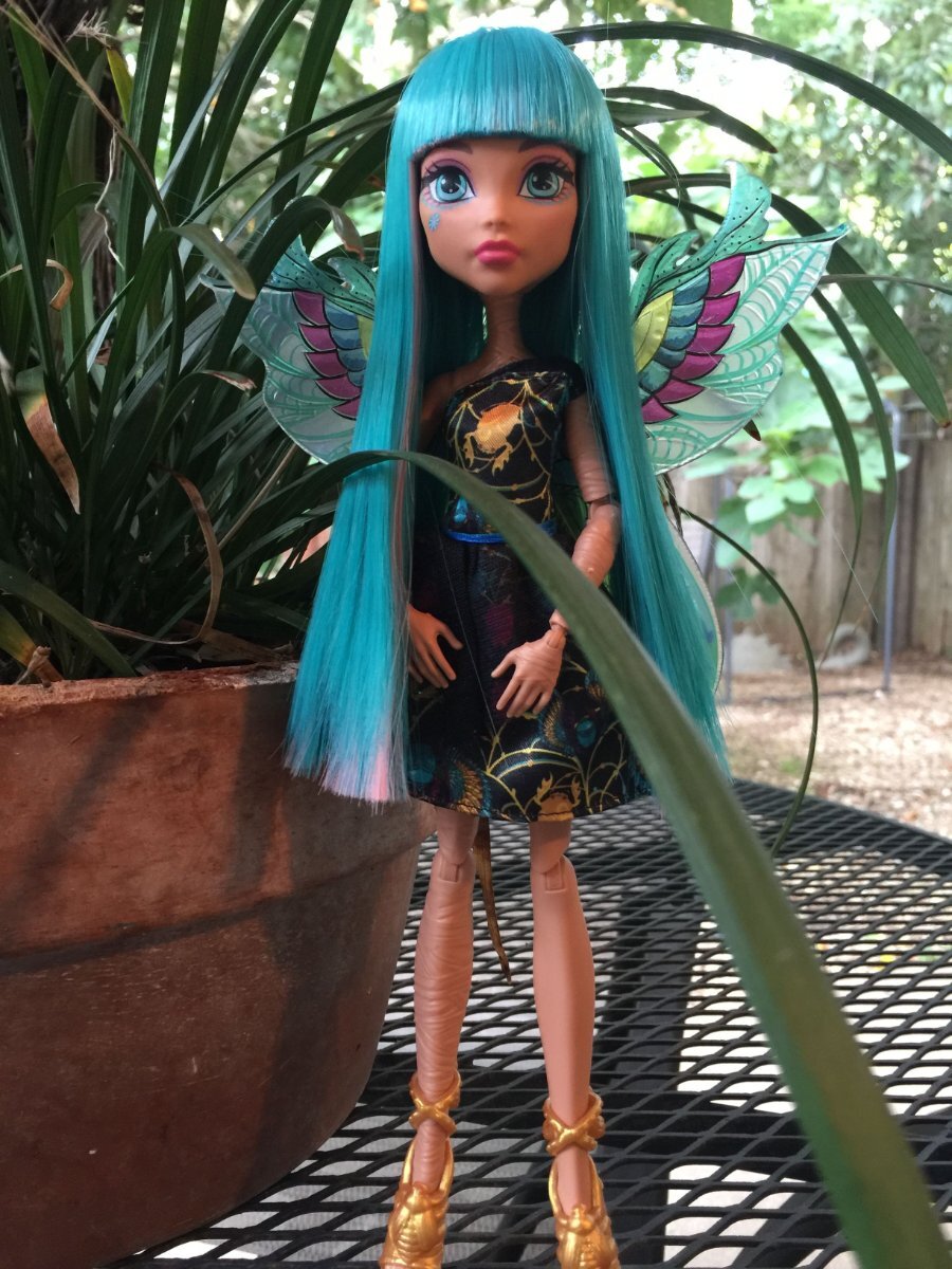 Monster High Collectors Membership Club - General Discussion - Mattel ...
