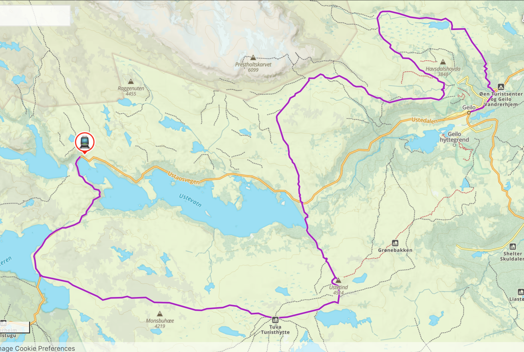 hvordan er sitene rundt haugastøl? planlegger bikpacking tur - Stier og ...