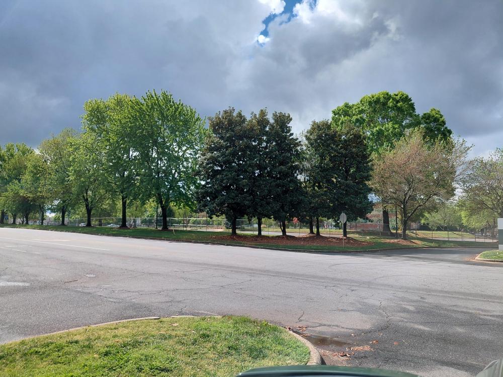 Office to Resi Conversions - Charlotte - UrbanPlanet.org