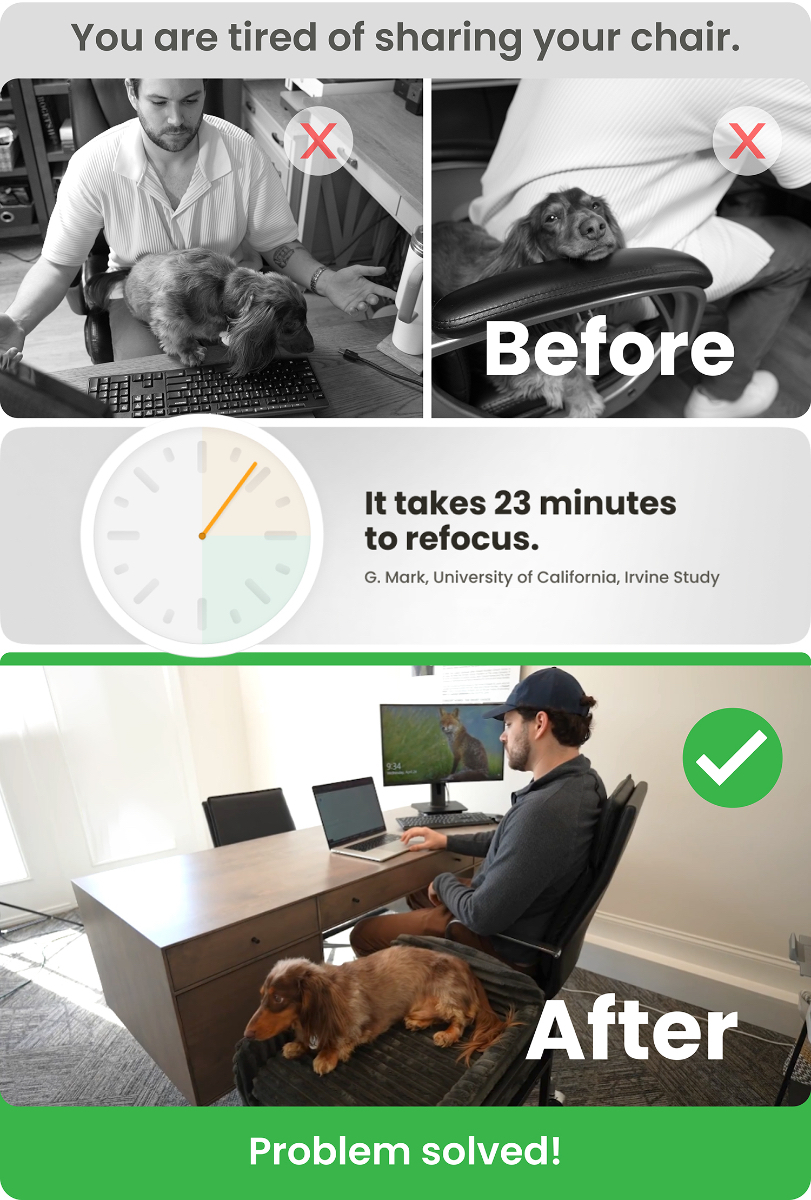 Seatmate: An office chair for your pets so YOU can be more productive ...