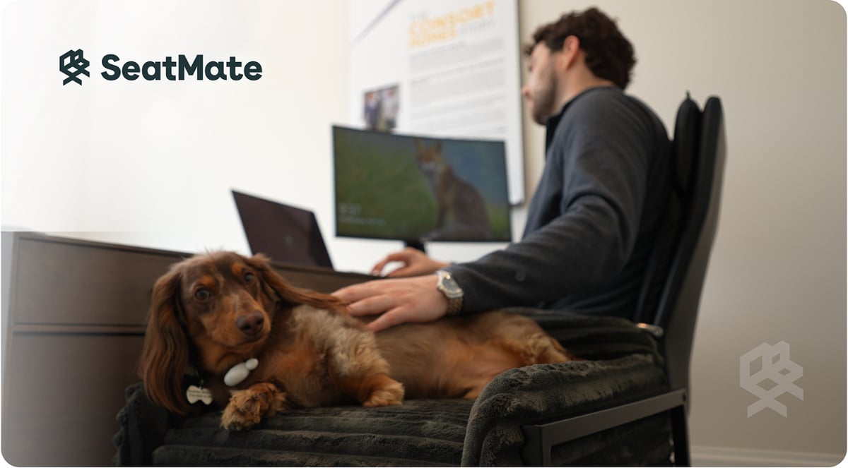 Seatmate: An office chair for your pets so YOU can be more productive ...