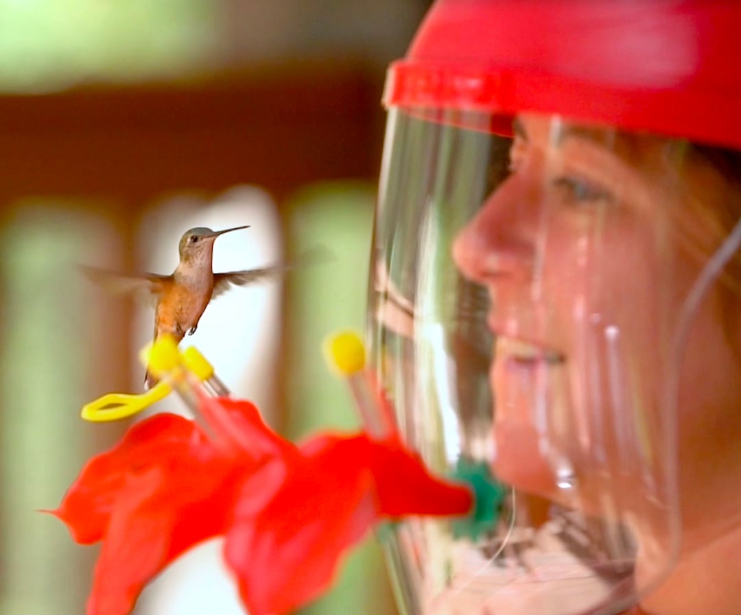 Gentle mask lets you watch & feed hummingbirds without scaring them ...