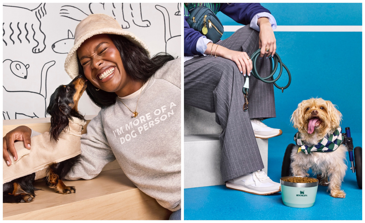 Target's 'Cuddle collab' collection: Must-haves for trendy pets (and ...