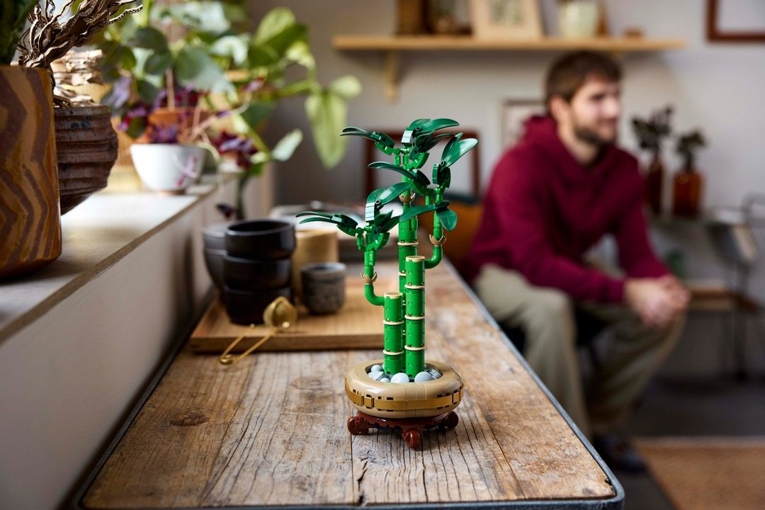 LEGO unveils 2025 Botanicals sets, helping you tend to your inner ...