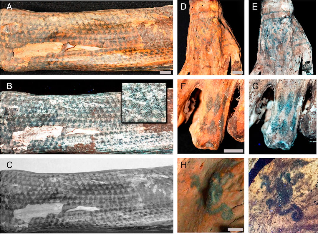 1,200-year-old tattoos appear on Peruvian mummies with laser technology ...