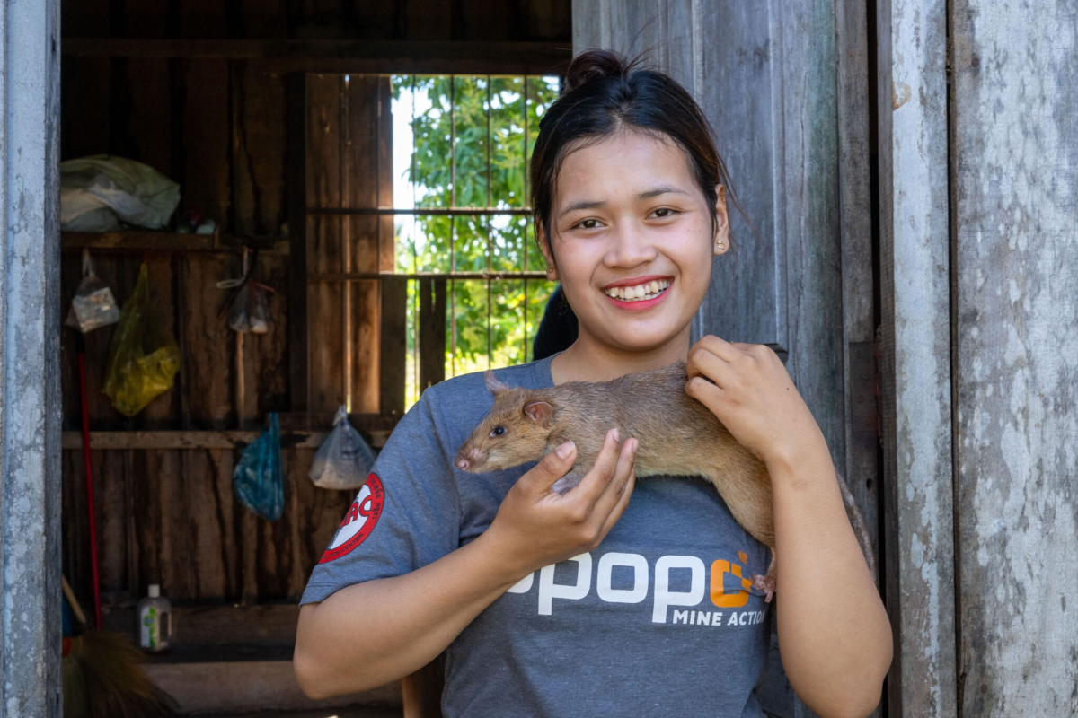 Ronin the rat sets Guinness World Record for landmine discoveries ...